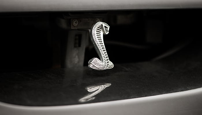 Adam's Black '95 Cobra Mustang