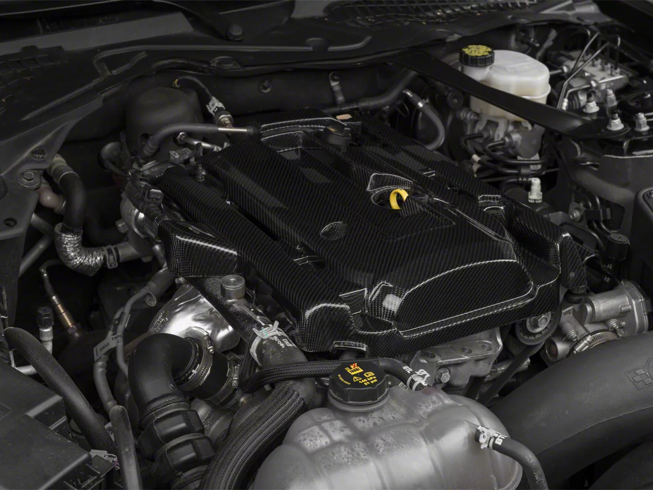 Anderson Composites Mustang Engine Cover; Carbon Fiber AC-EC15FDMUEB ...