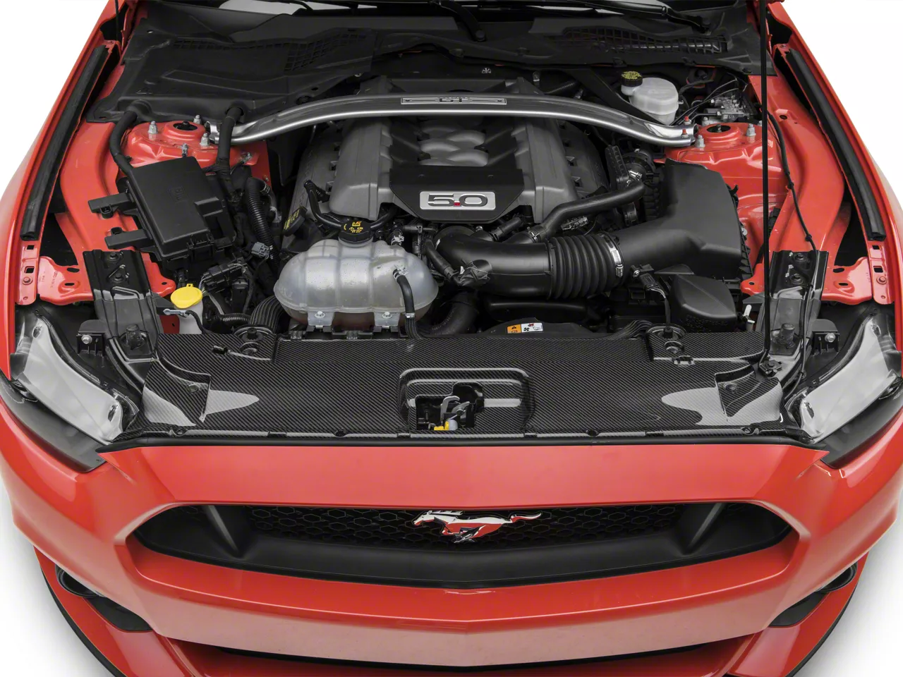 Anderson Composites Mustang Radiator Cover; Carbon Fiber AC-CP15FDMU ...