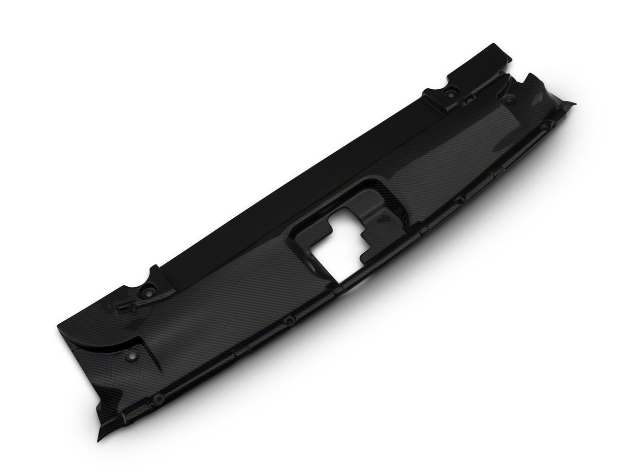 Anderson Composites Mustang Radiator Cover; Carbon Fiber AC-CP15FDMU ...