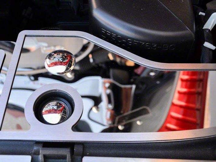 Mustang Polished/Brushed Front Engine Header Plate (15-17 Mustang GT ...