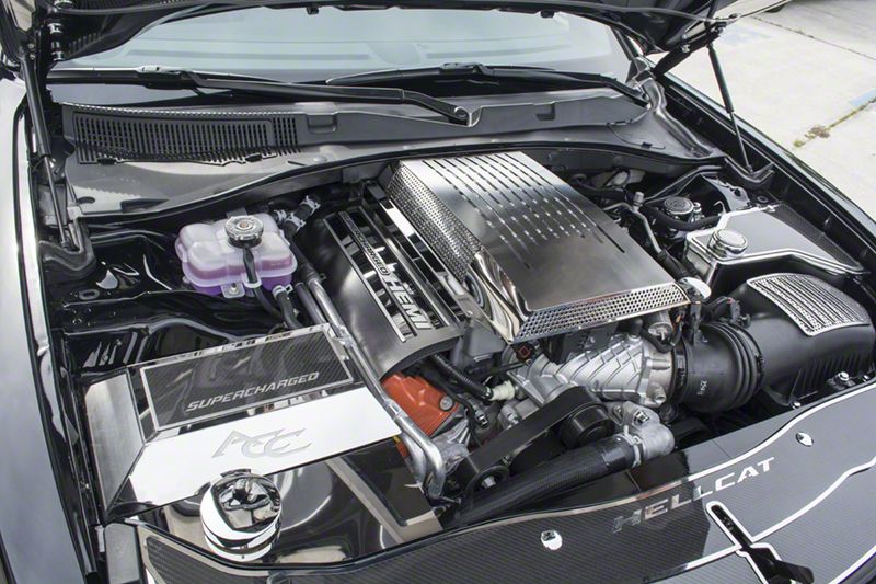 Challenger Polished/Brushed Fuel Rail Overlays (15-23 Challenger SRT ...