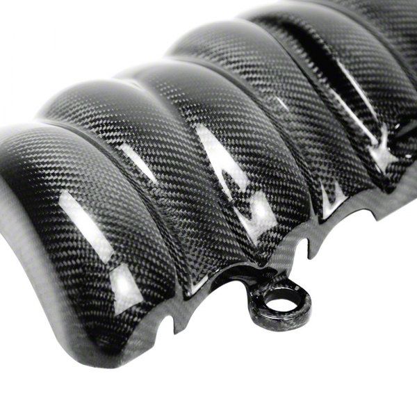 Anderson Composites Camaro Intake Plenum Cover; Carbon Fiber AC-LSMEC ...