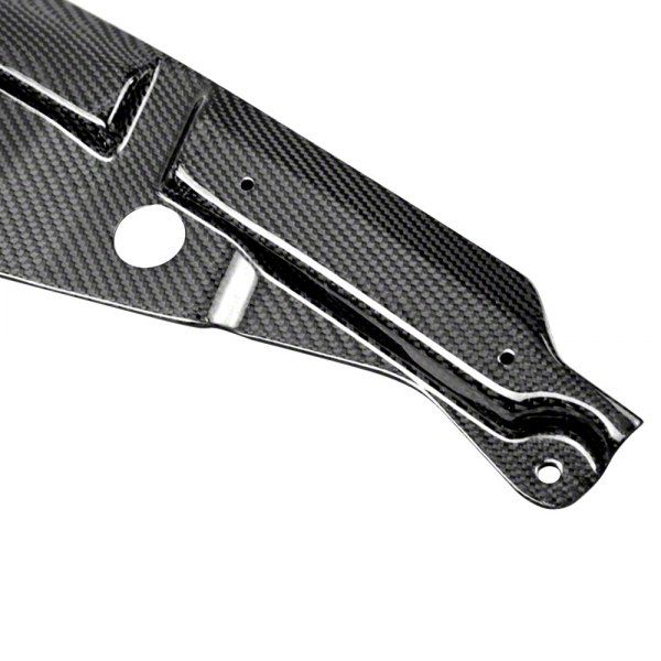 Anderson Composites Camaro Radiator Cover; Carbon Fiber AC-CP1011CHCAM ...
