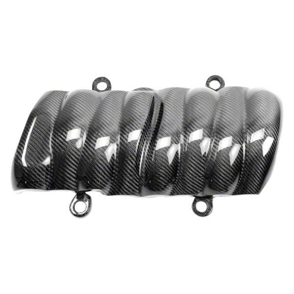 Anderson Composites Corvette Intake Plenum Cover; Carbon Fiber AC-LSMEC ...