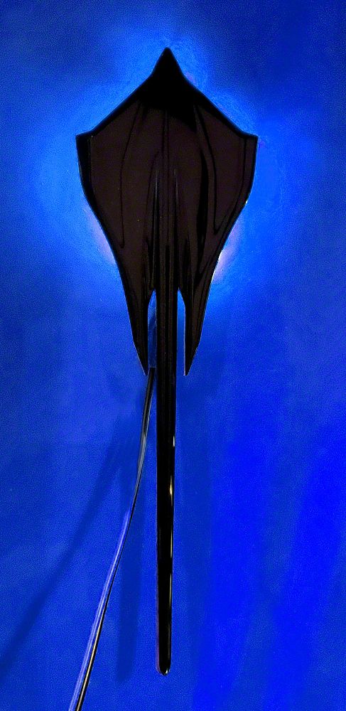 Corvette Backlit Rear Emblem with Blue LED; Silver (20-26 Corvette C8 ...