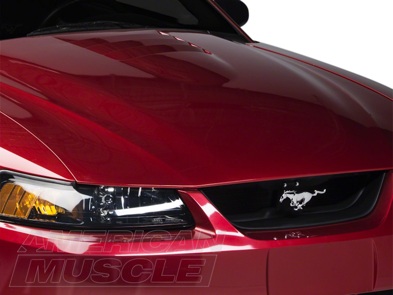 Cervini's Mustang 2000 Cobra R Style Hood; Unpainted 154 (99-04 Mustang ...