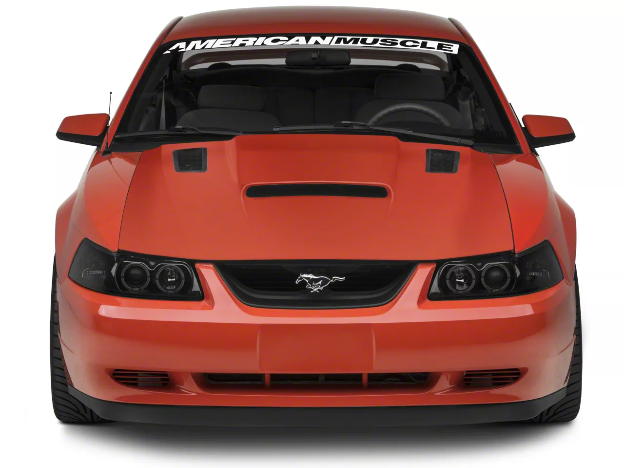 Cervini's Mustang Stalker 2 Hood; Unpainted 1230 (99-04 Mustang) - Free ...