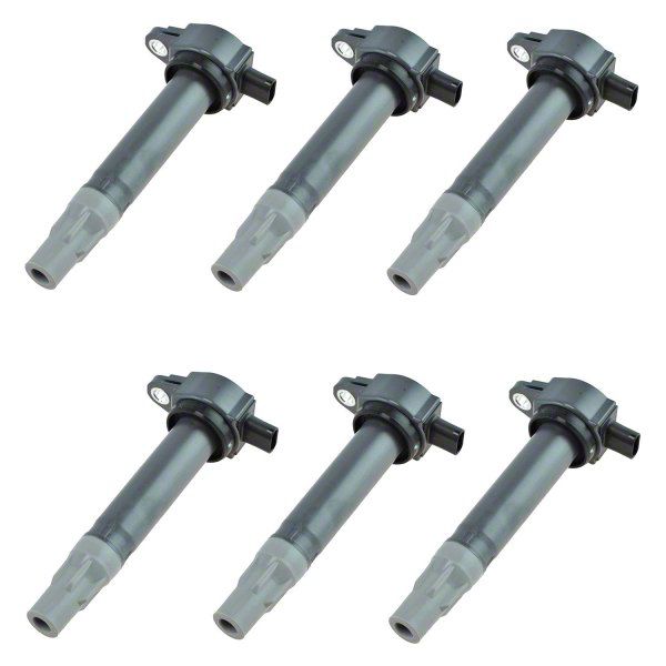 Charger 6-Piece Ignition Coil Set (06-10 V6 Charger) - Free Shipping