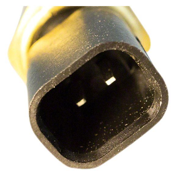 Charger Coolant Temperature Sensor (08-15 Charger) - Free Shipping