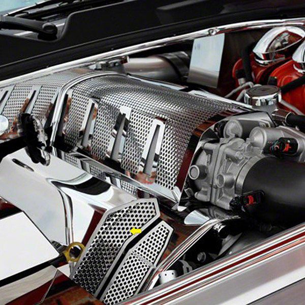 Charger Fuel Rail Covers for Aftermarket Air Box; Polished/Perforated ...