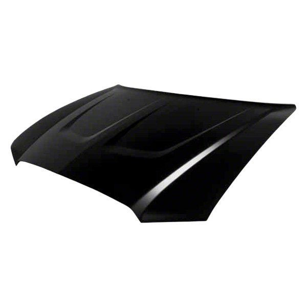 Charger Hood Panel Assembly (11-14 Charger)