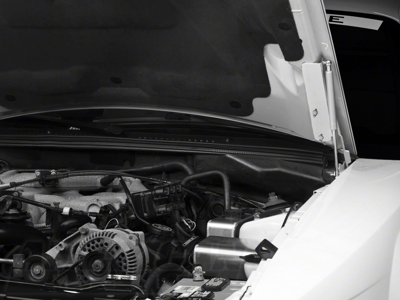 MMD Mustang Bolt On Hood Strut Kit; Chrome 41241 (99-04 Mustang) - Free ...