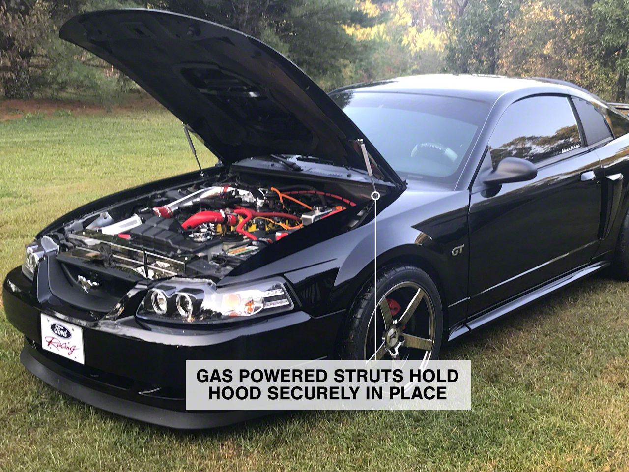 MMD Mustang Bolt On Hood Strut Kit; Chrome 41241 (99-04 Mustang) - Free ...