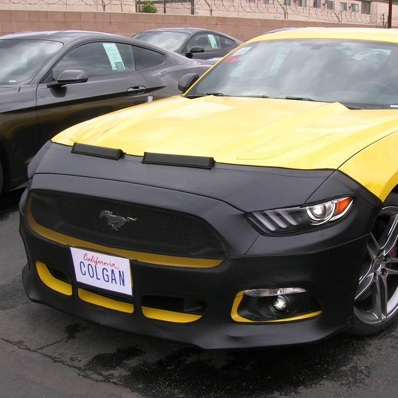 Covercraft Colgan Custom Mustang Original Front End Bra with License ...