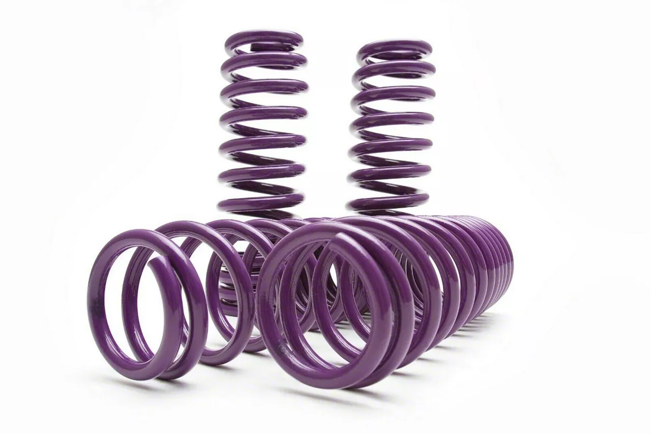 D2 Racing Challenger Pro Series Lowering Springs D-SP-DO-01-2 (08-23 ...