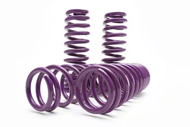 D2 Racing Mustang Pro Series Lowering Springs D-SP-FO-15-2 (15-17 ...