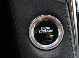 Digital Guard Dawg Challenger Cadillac Escalade Style Button for PBS-X ...