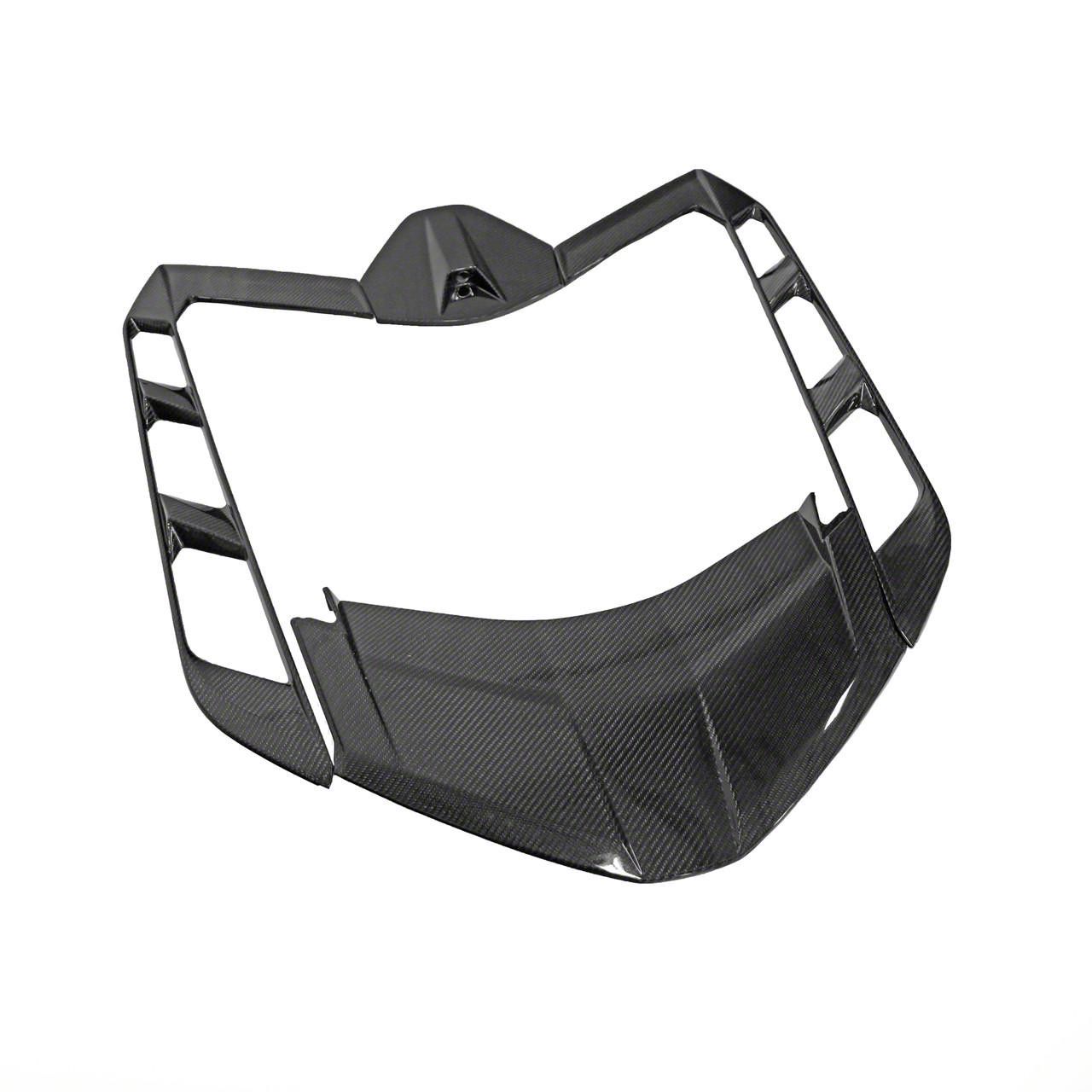 Fabspeed Motorsport Corvette Rear Hatch 4-Piece Set; Carbon Fiber FS-CF ...