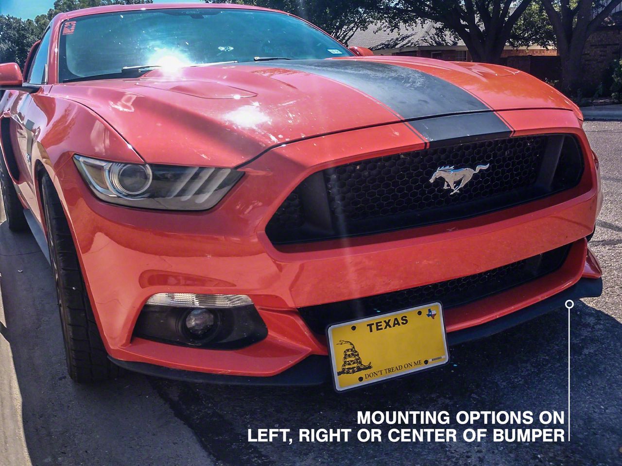 SpeedForm Mustang Flip Down License Plate Holder; Manual 64501 ...