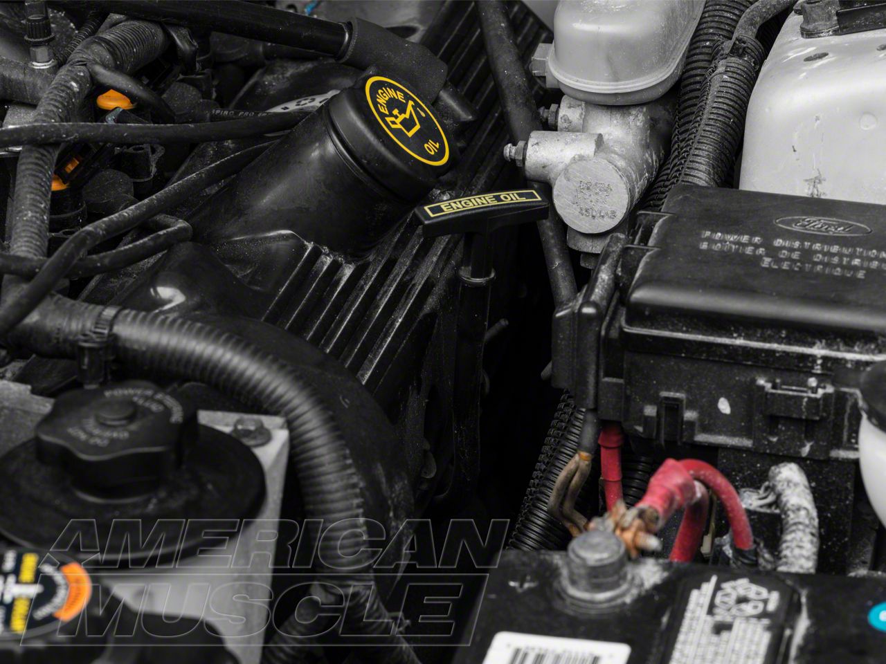 Ford Mustang Engine Oil Dip Stick F85Z6750BA (99-04 Mustang Cobra, Mach ...