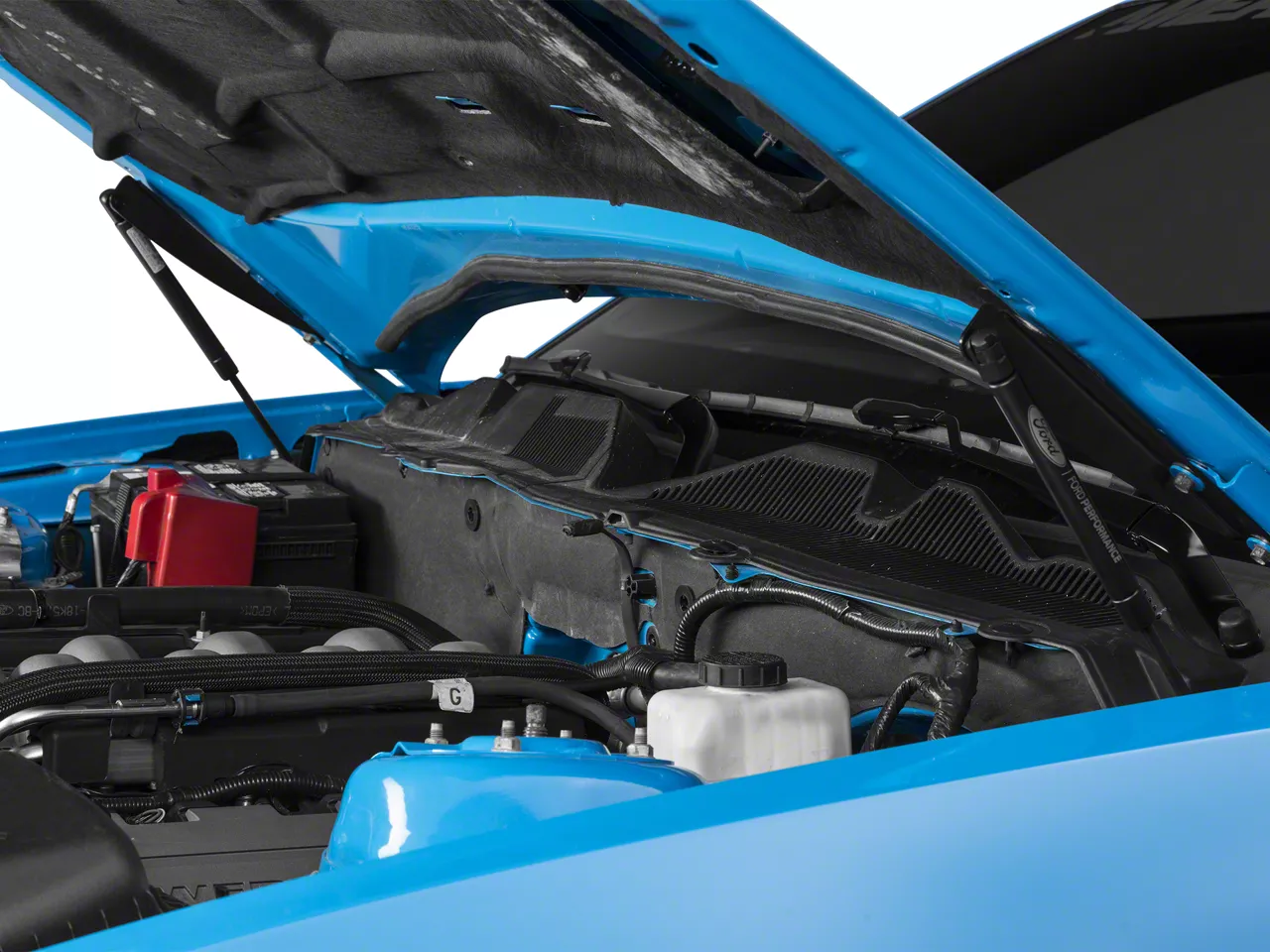 Ford Performance Mustang Hood Strut Kit with Ford Performance Logo M ...