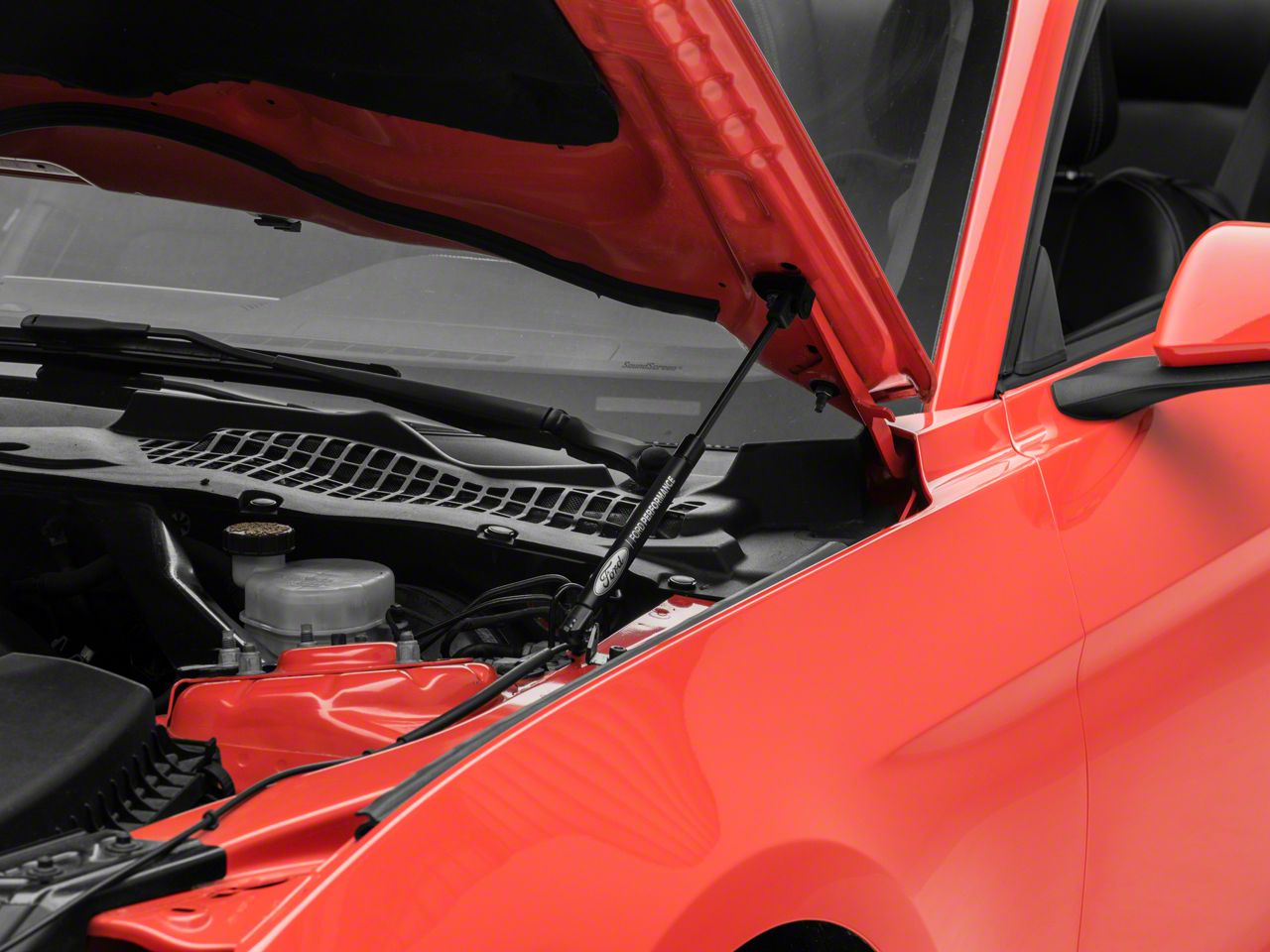 Ford Performance Mustang Hood Strut Kit with Ford Performance Logo M ...