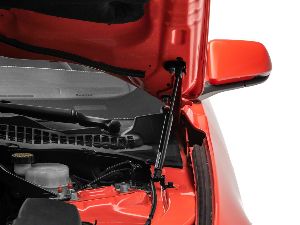 Ford Performance Mustang Hood Strut Kit with Ford Performance Logo M ...