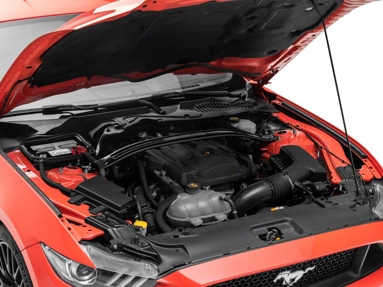 Ford Performance Mustang Strut Tower Brace M-20201-MA (15-25 Mustang GT ...