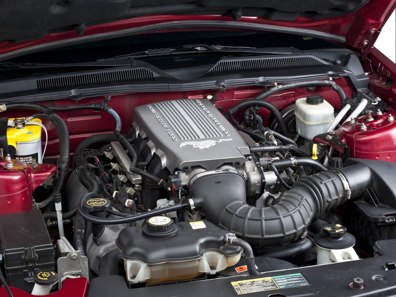 Ford Performance Mustang Intake Plenum Cover M-6949-3V (05-10 Mustang ...