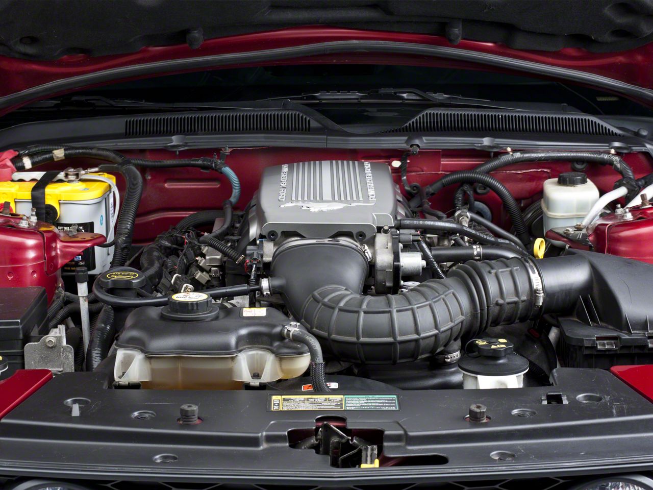 Ford Performance Mustang Intake Plenum Cover M-6949-3V (05-10 Mustang ...