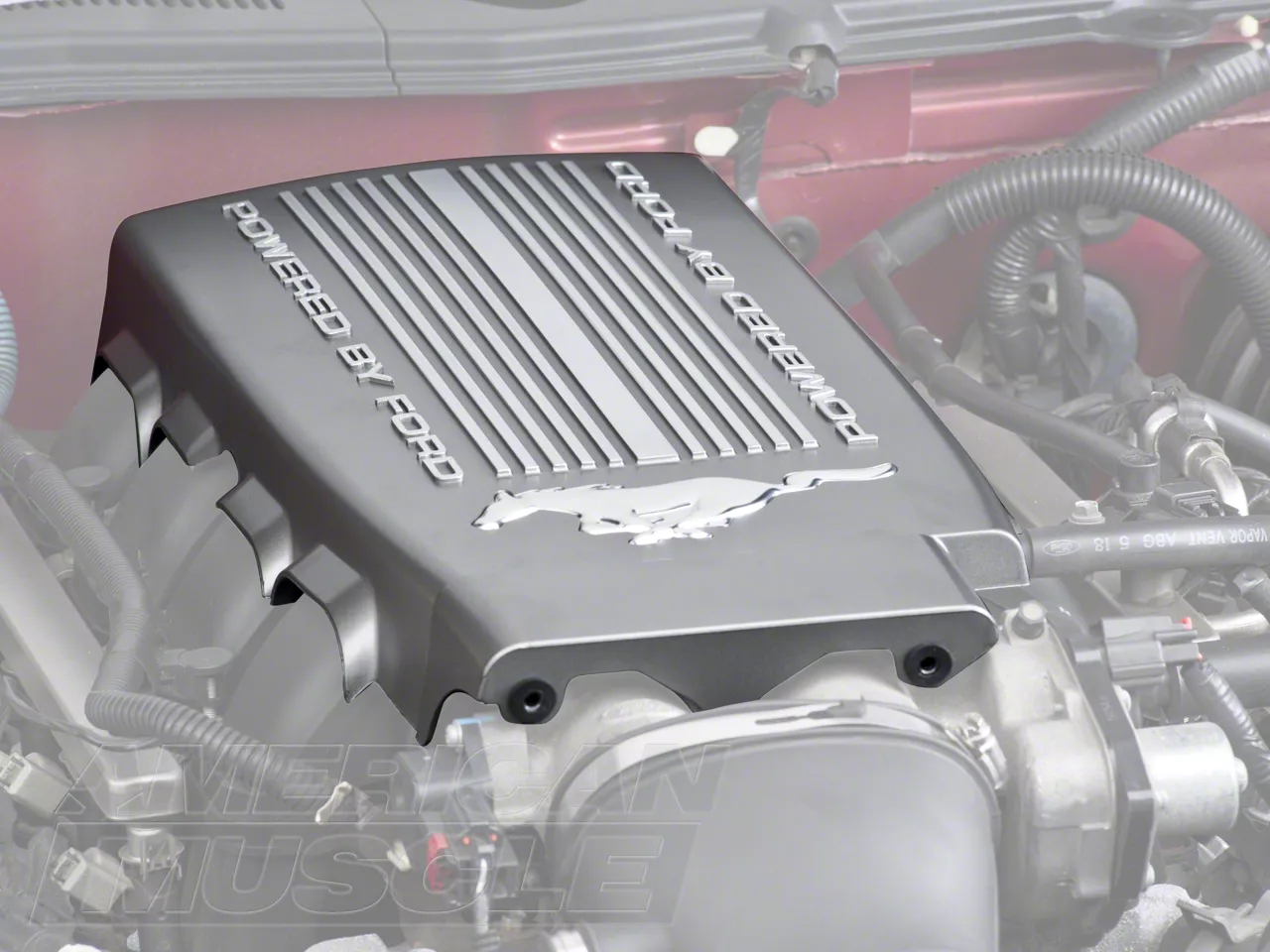 Ford Performance Mustang Intake Plenum Cover M-6949-3V (05-10 Mustang ...
