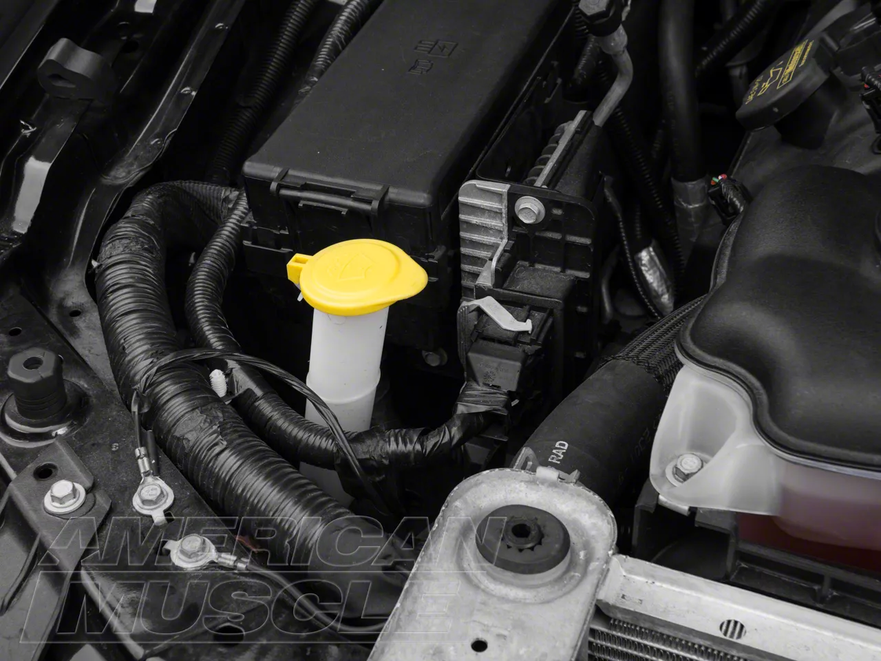 Ford Mustang Windshield Washer Fluid Reservoir AR3Z17618A (10-14 ...