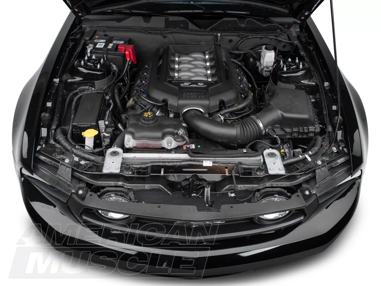 Ford Mustang Windshield Washer Fluid Reservoir AR3Z17618A (10-14 ...