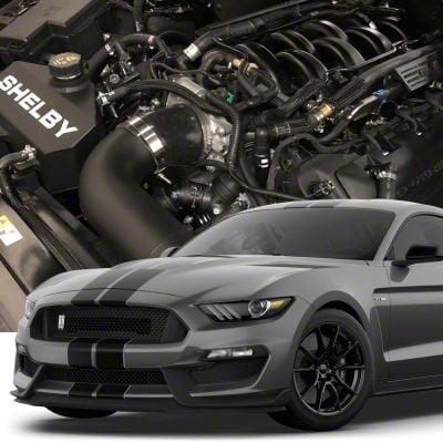 Hellion Mustang Sleeper Hidden Twin 62mm Turbo Tuner System HT ...