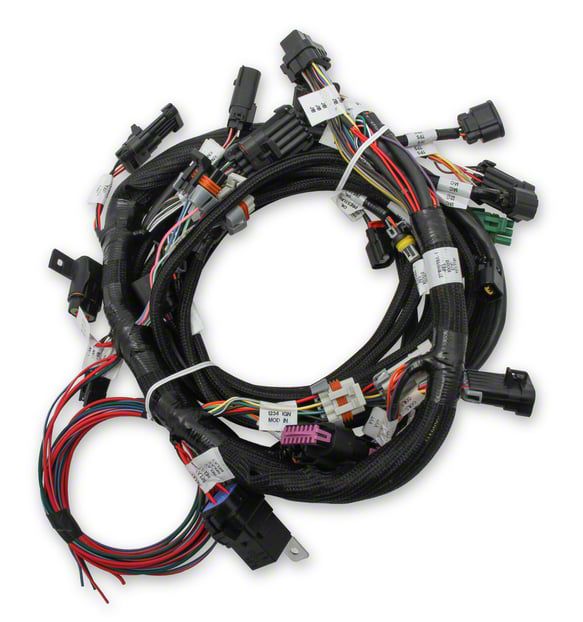 Holley EFI Mustang Coyote Ti-VCT Engine Main Wiring Harness for Stock ...