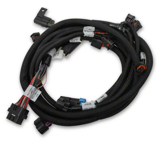 Holley EFI Mustang Coyote Ti-VCT Sub Wiring Harness 558-125 (13-17 ...