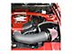JLT Mustang Series II Cold Air Intake with White Dry Filter CAI2-FMG-11 ...