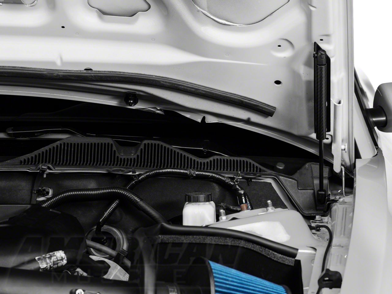 MMD Mustang Bolt On Hood Strut Kit; Carbon Fiber 100336 (05-14 Mustang ...