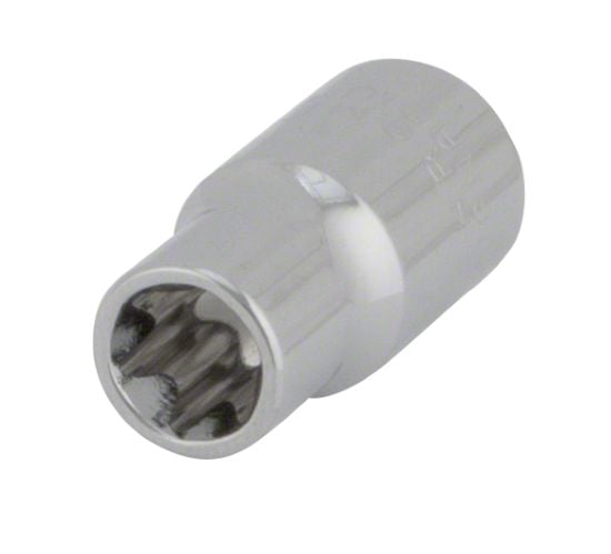 Mustang 1/4-Inch Drive External Torx E8 Standard Socket