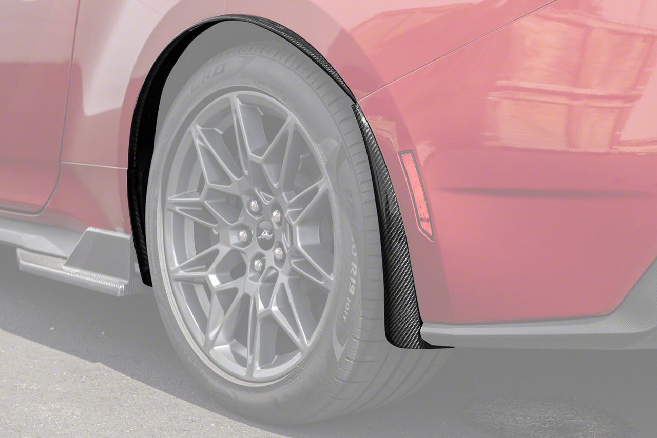 Mustang Fender Flare and Mud Guard Kit; Rear; Carbon Fiber (24-26 ...
