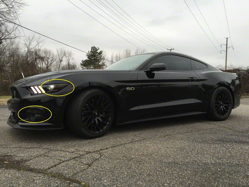 Mustang Front Lens Vinyl Tint Kit (15-17 Mustang; 18-22 Mustang GT350 ...