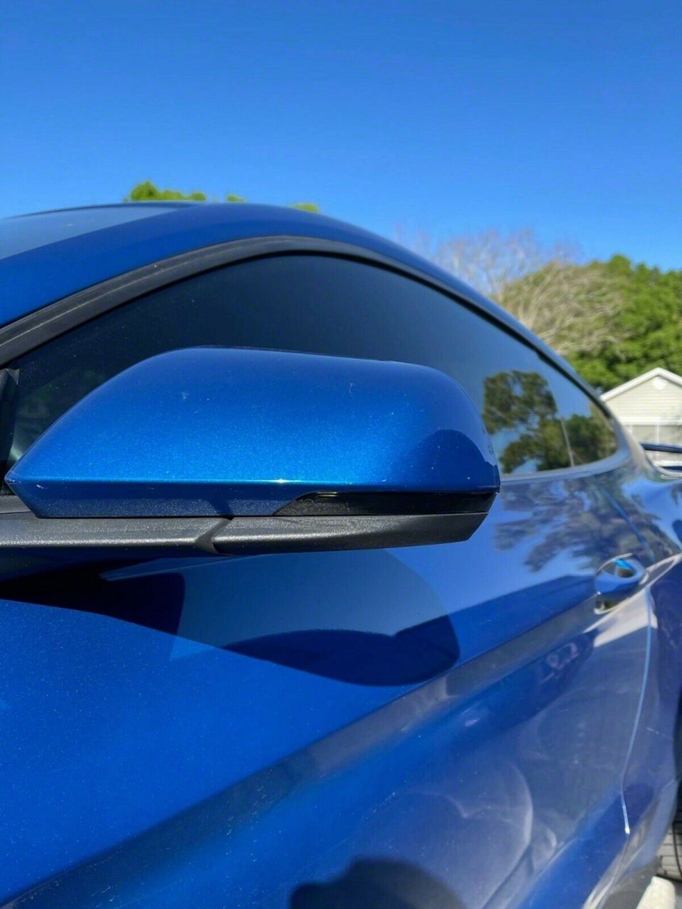 Mustang Front and Rear Lens Vinyl Tint Kit (18-23 Mustang GT, EcoBoost ...