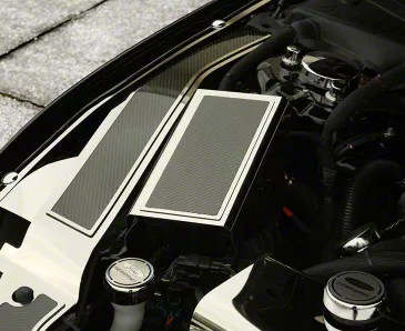 Mustang Fuse Box Cover with Carbon Fiber Top Pate; Polished (15-23 ...