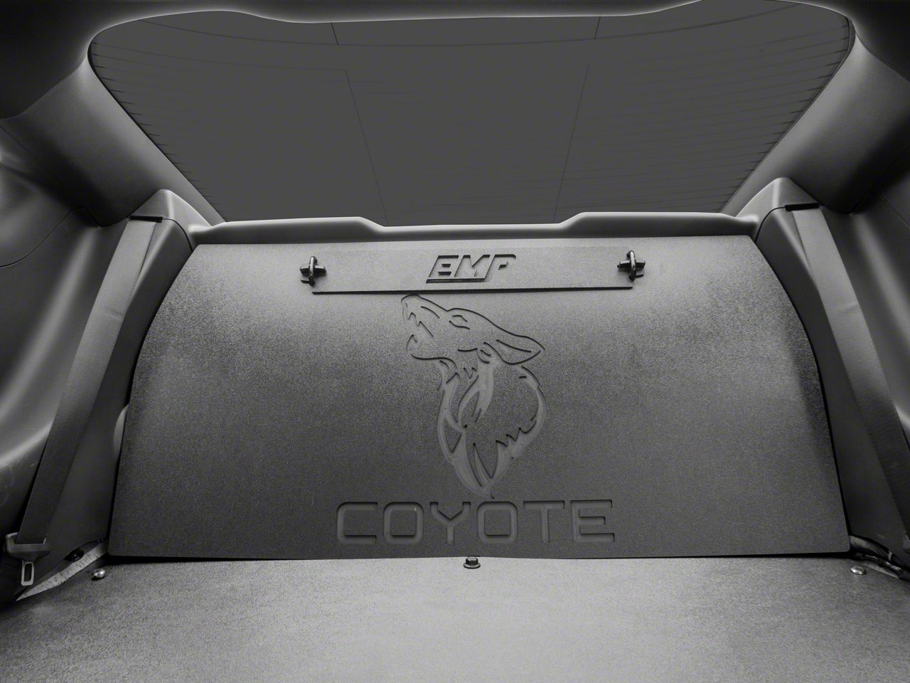Mustang Lightweight Racer Rear Seat Delete Kit with Coyote Engraving ...