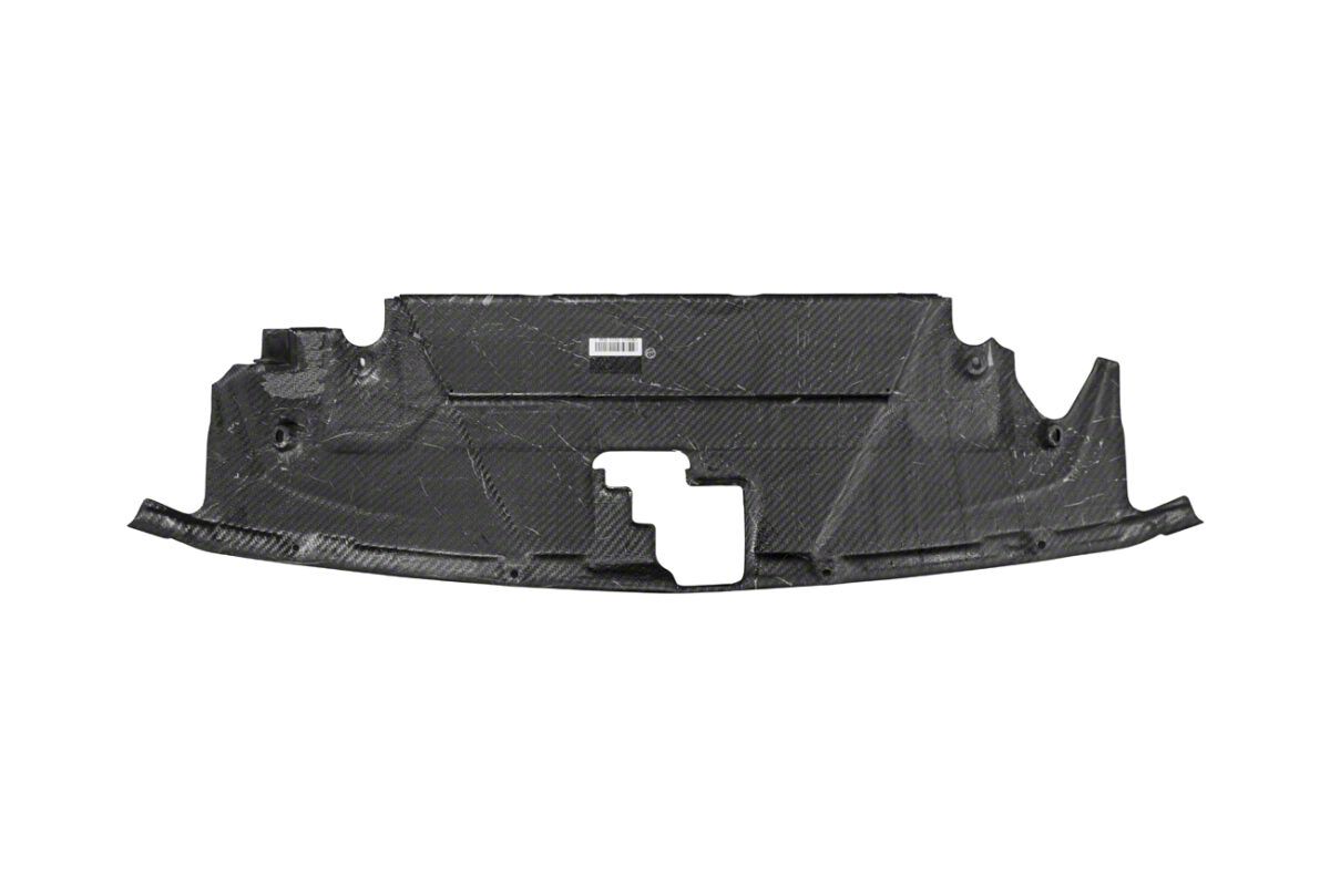 Mustang Radiator Cover; Carbon Fiber (24-25 Mustang) - Free Shipping