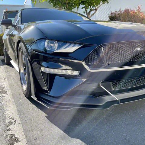 Mustang Standard Splitter Extension with GT500 Winglet Extensions (18 ...