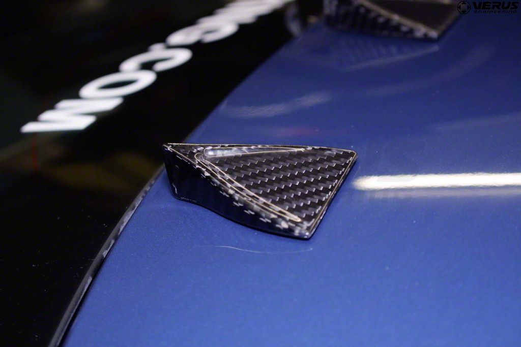 Mustang Vortex Generator Kit; Carbon Fiber (15-20 Mustang GT350) - Free ...