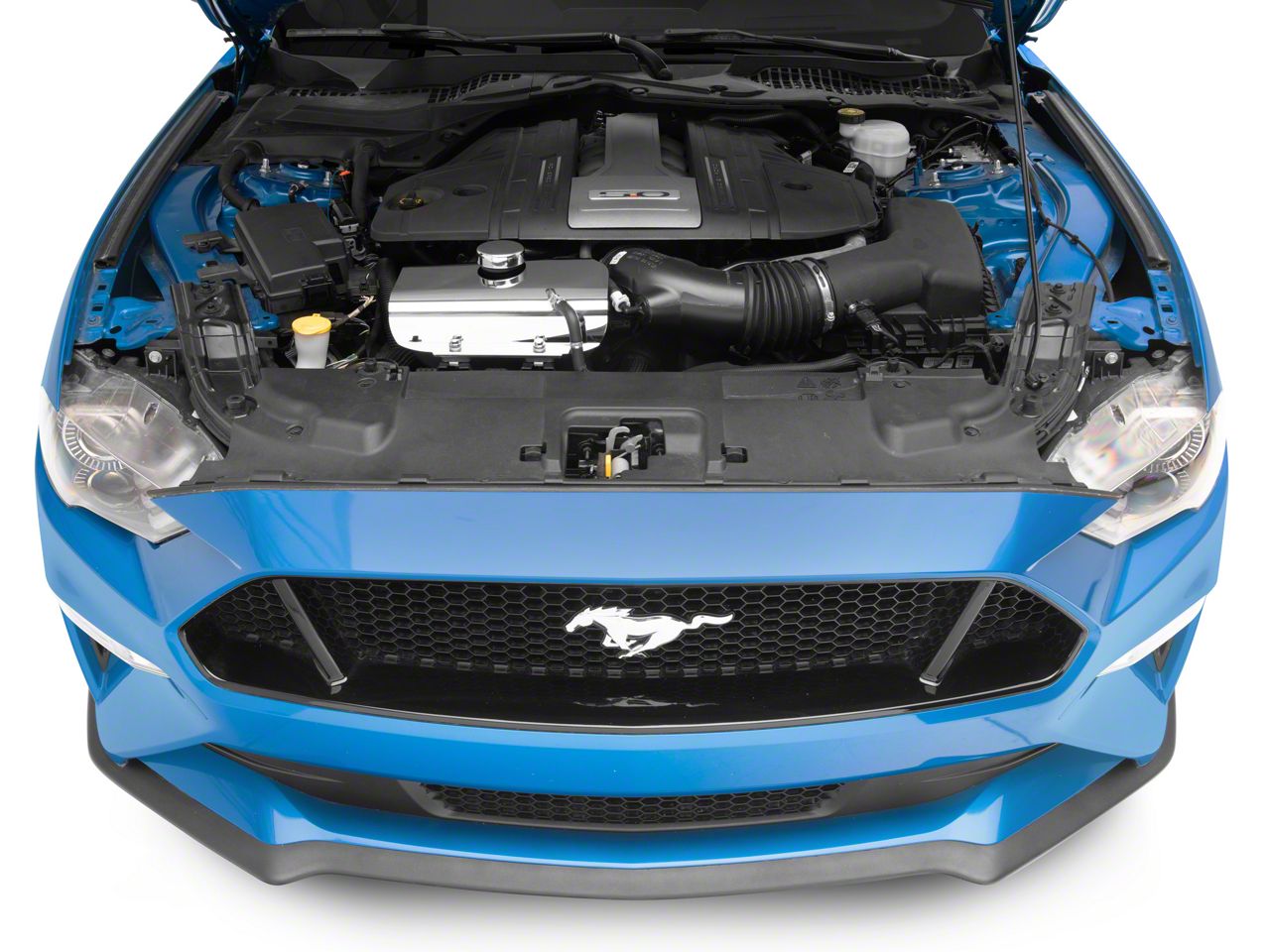 Mustang Water Tank Cover; Polished (15-23 Mustang) - Free Shipping