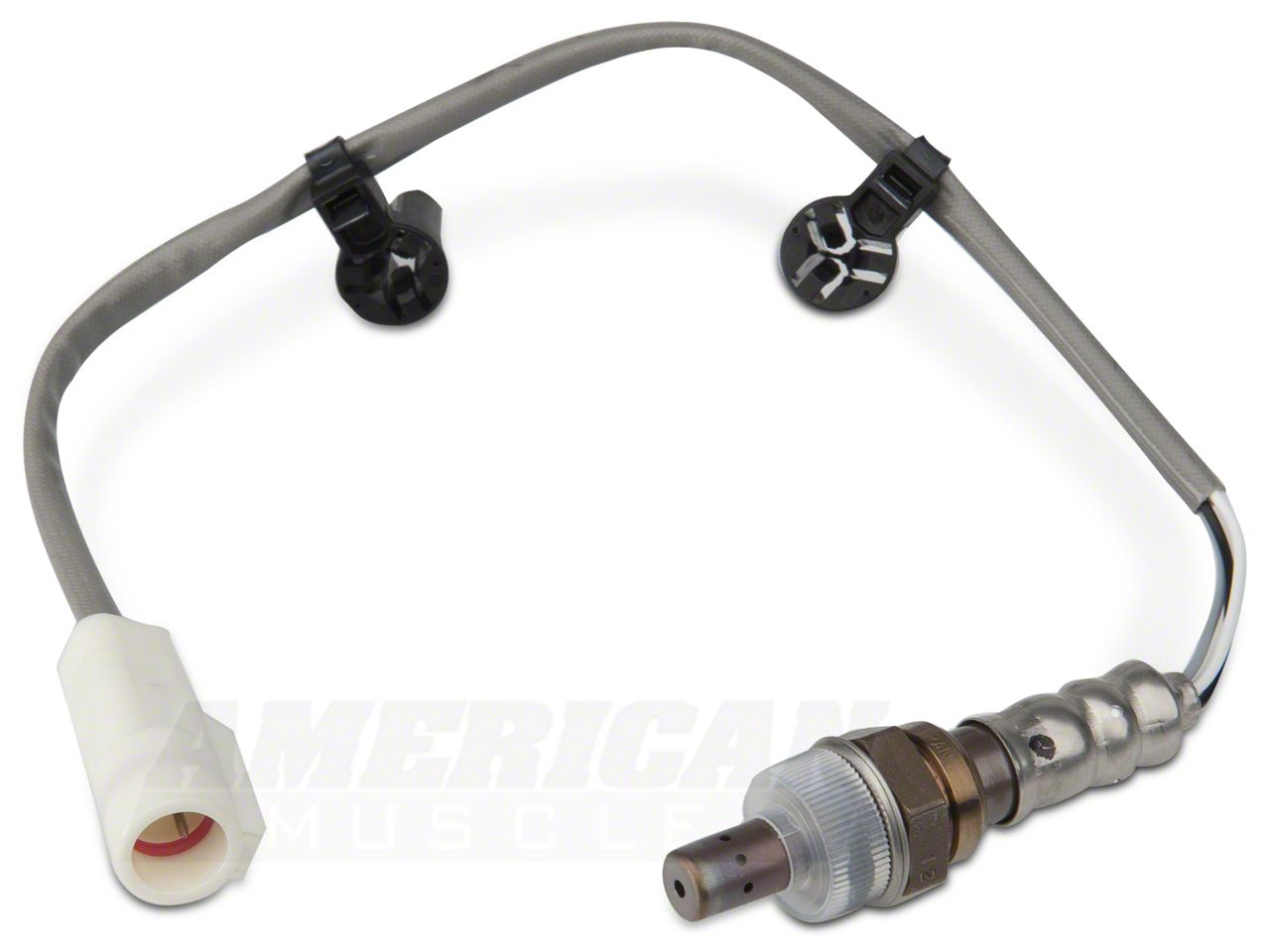 NTK Mustang Performance Oxygen Sensor 22500 (94-04 V8 Mustang; 95-09 ...